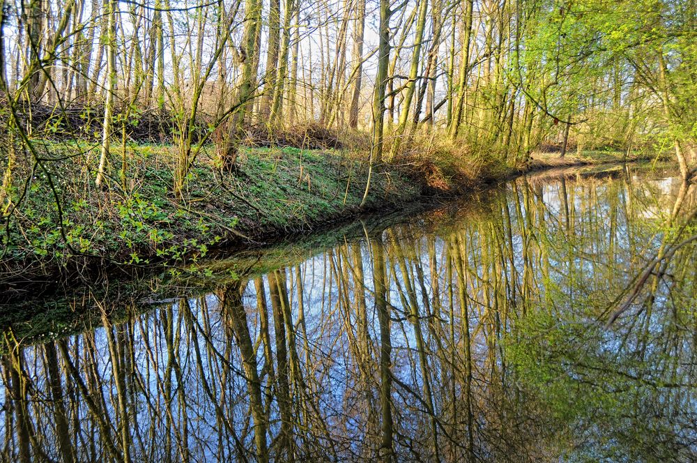 Frühling am Bach Foto & Bild | landschaft, bach, fluss & see, bachläufe Bilder auf fotocommunity