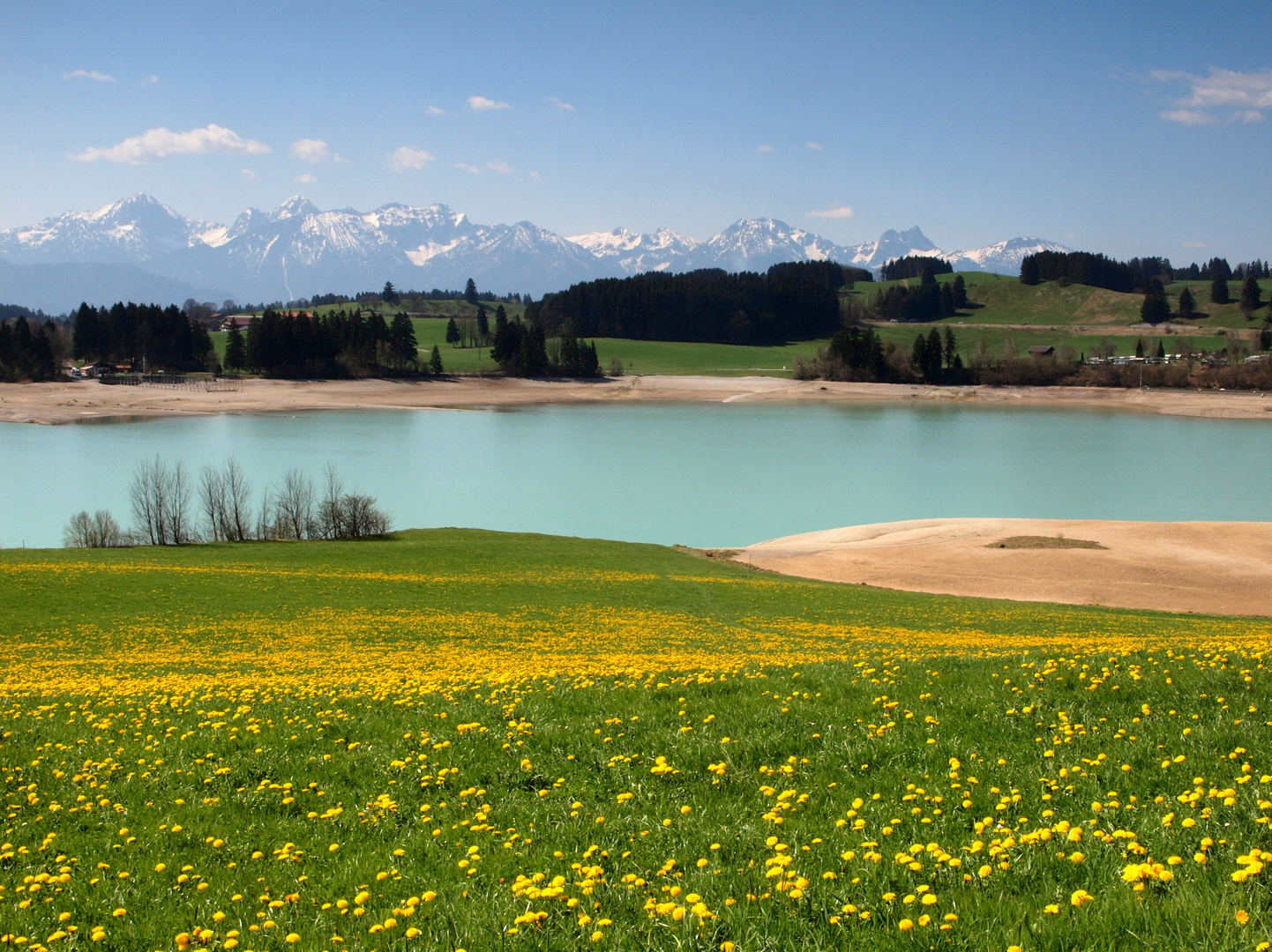 Frühling am Forggensee im Allgäu Foto & Bild | wiese, frühling, natur ...