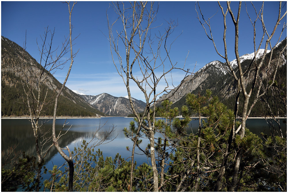Frühling am Plansee Foto & Bild | landschaft, bach, fluss & see, see ...