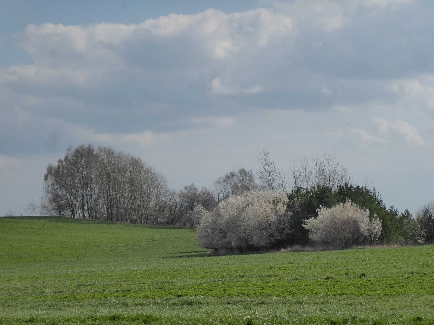 Frühling auf dem Lande Foto & Bild | landschaft, jahreszeiten, frühling ...
