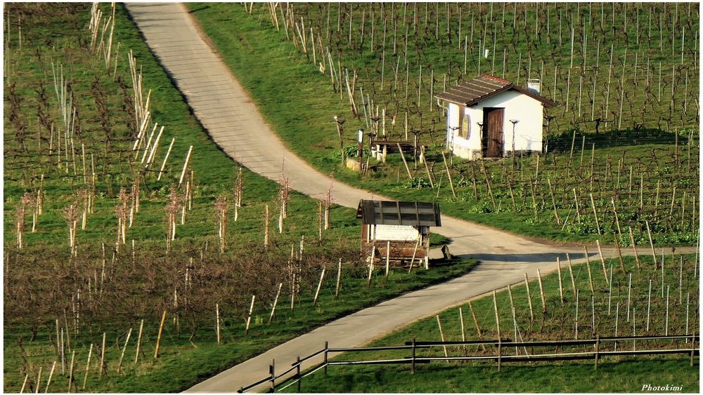 Frühling der Obstplantage Foto & Bild | landschaft, kulturlandschaften ...