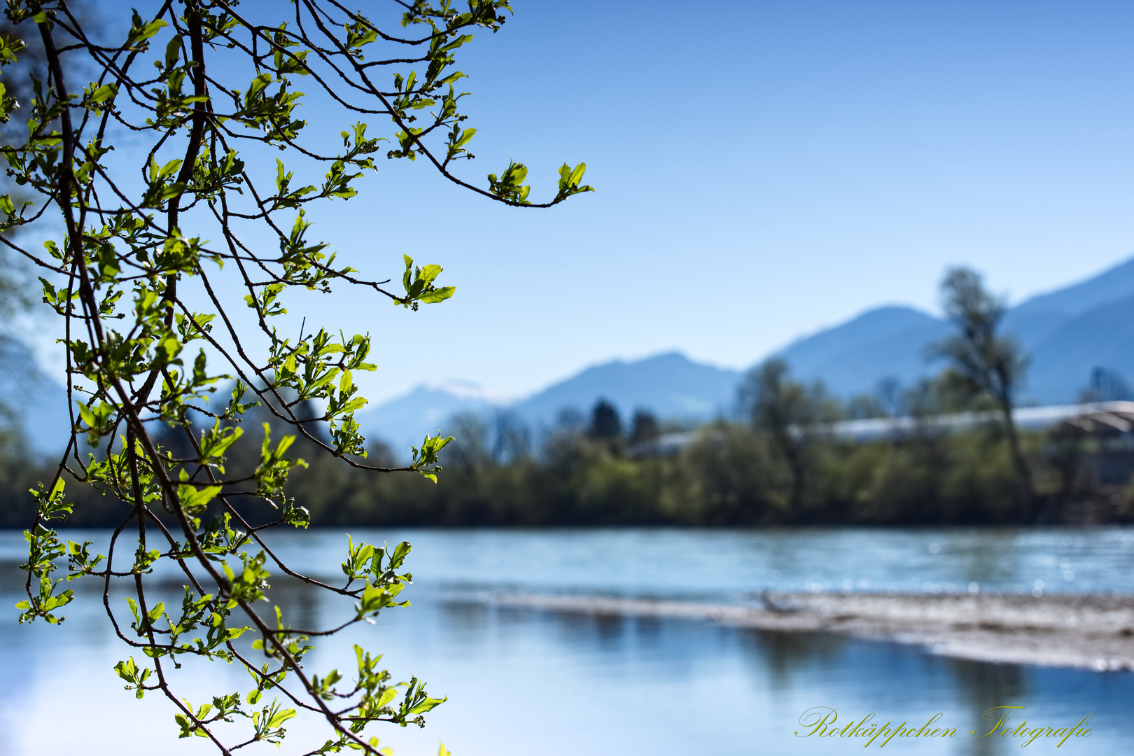 Frühling im Inn Foto & Bild | landschaft, bach, fluss & see, flüsse und ...