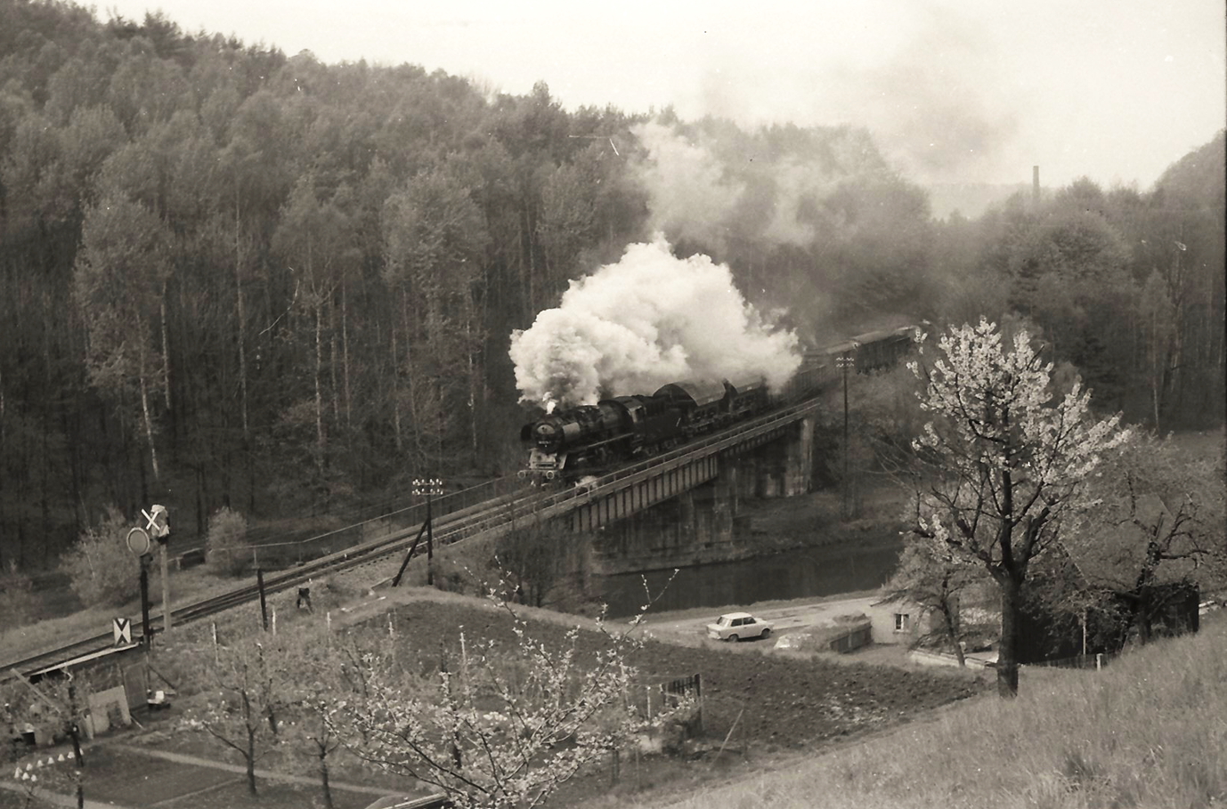 Frühling im Muldental . Foto & Bild | Bilder auf fotocommunity
