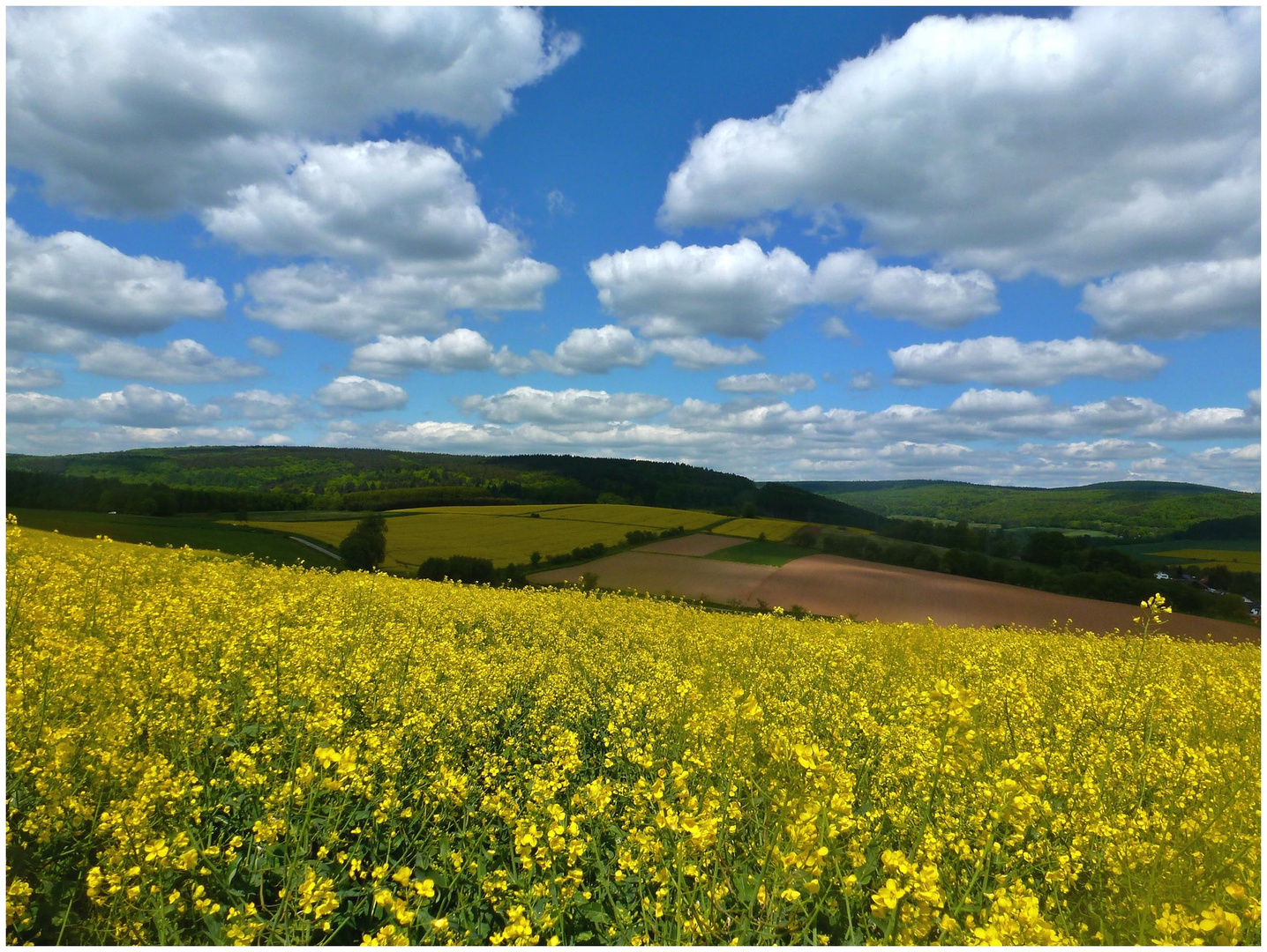 Frühling im Solling Foto & Bild | world, deutschland, europe Bilder auf ...