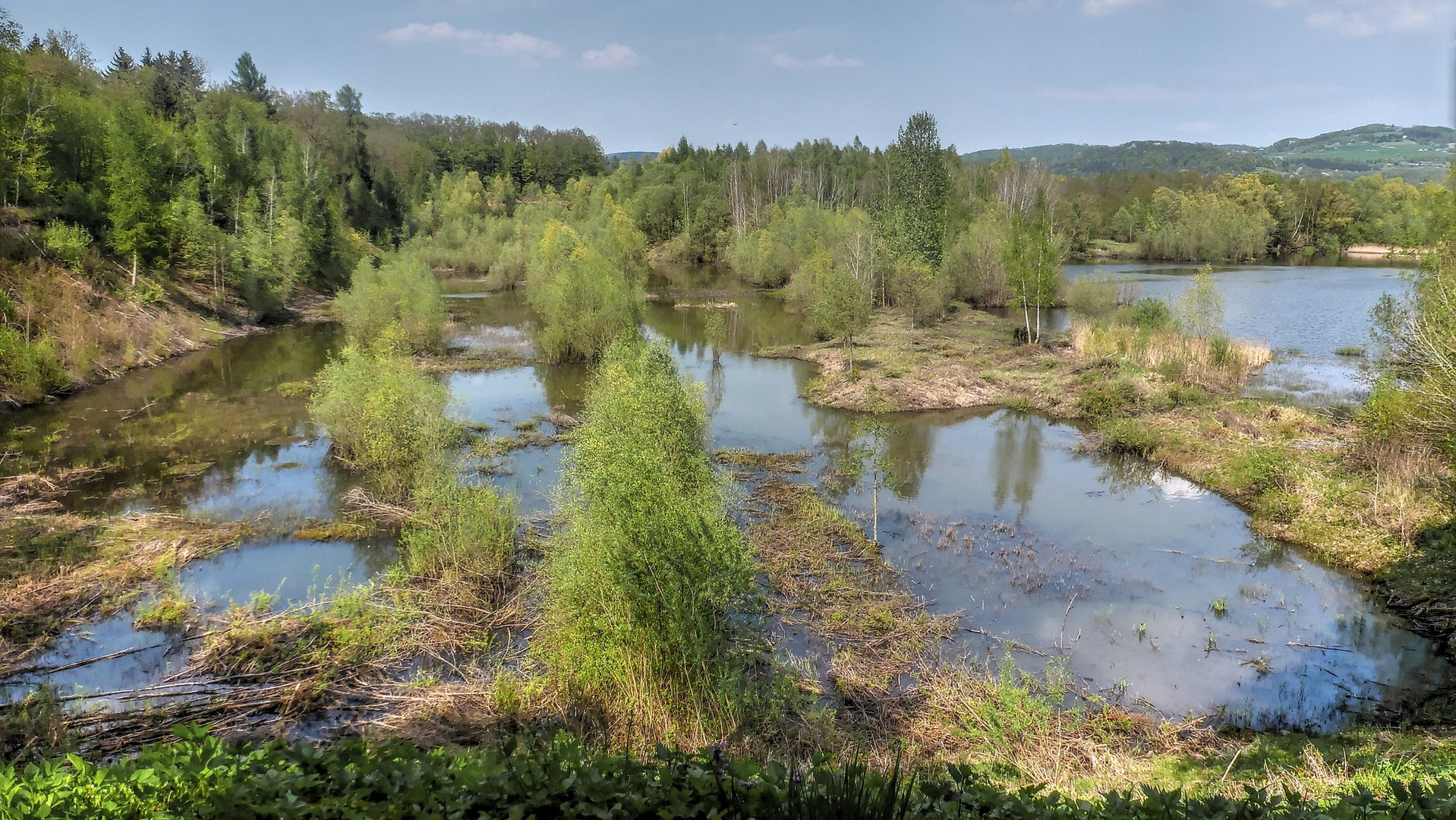 Frühling im Solling - Archivaufnahme Foto & Bild | natur, see ...