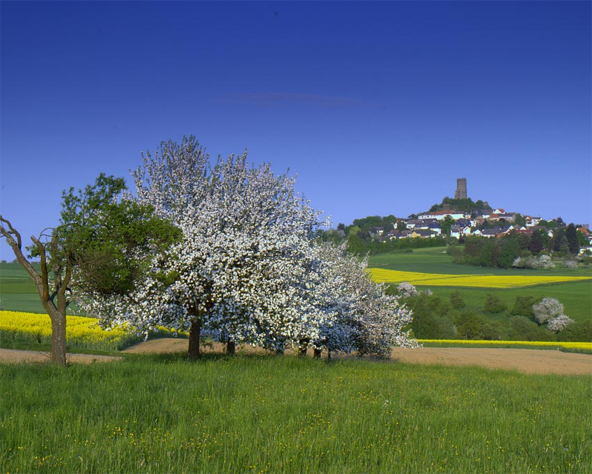 Frühling in Biebertal Foto & Bild | deutschland, europe, hessen Bilder ...