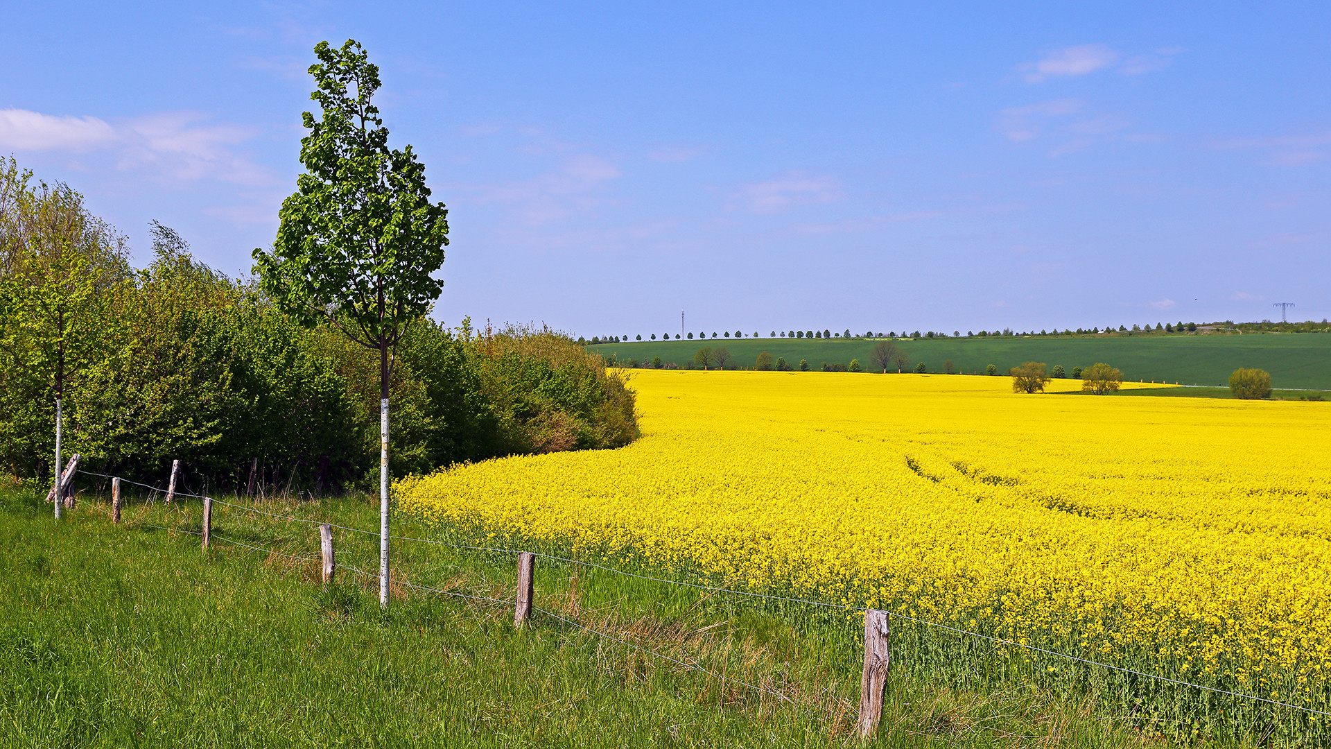 Frühling pur auch rechts der Müglitz , hier bei dem Ort namens Krebs ...