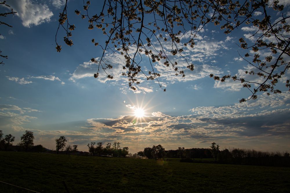 Frühlingsimpressionen Foto & Bild | jahreszeiten, frühling, natur Bilder auf fotocommunity