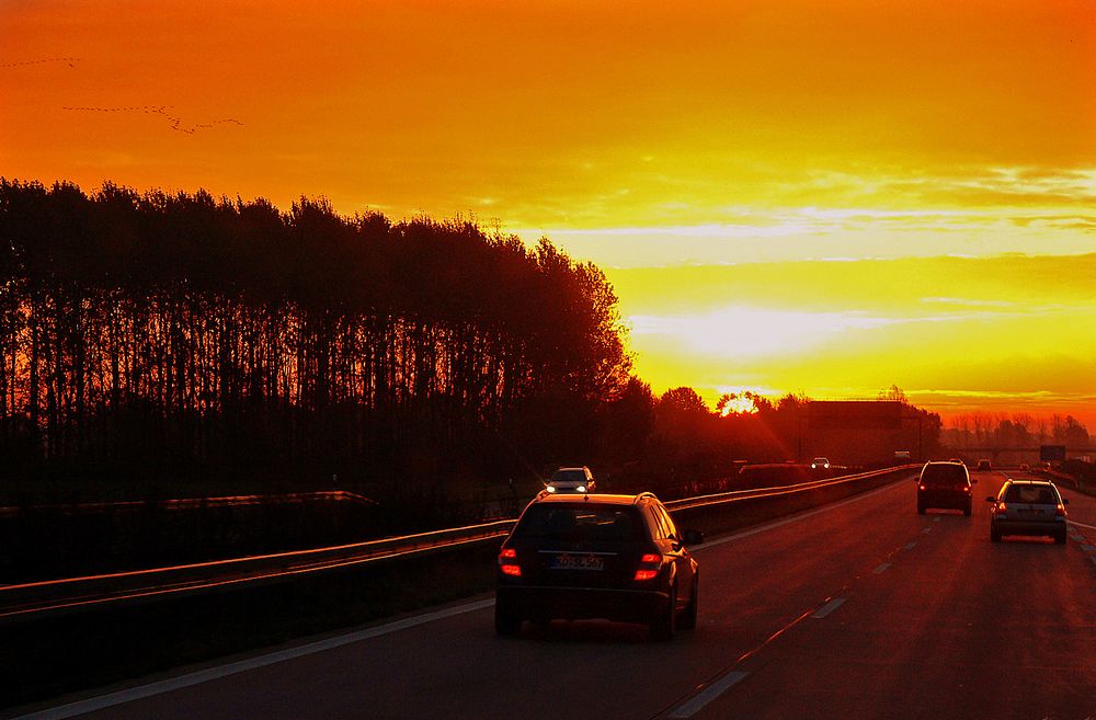Frühmorgens auf dem Weg, der Sonne entgegen... Foto & Bild ...