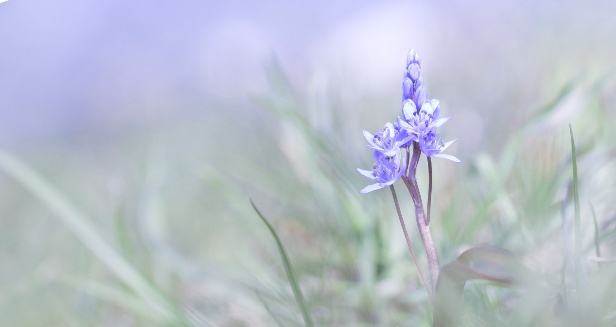 fruhling Foto & Bild | 1.4. 2018, natur Bilder auf fotocommunity