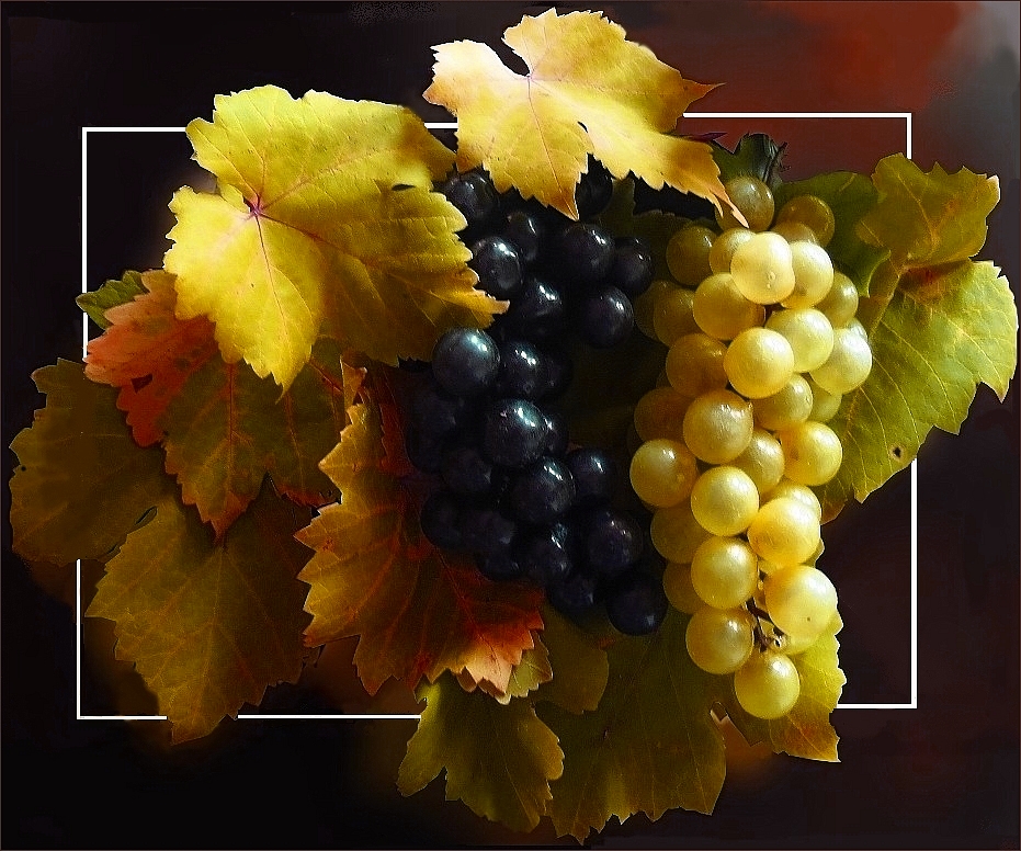 Fruits d'automne photo et image | les fruits, nature Images fotocommunity