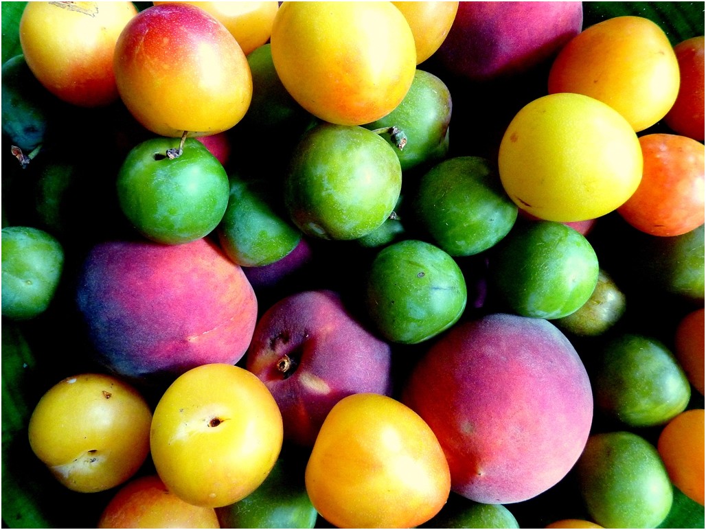 Fruits d'été photo et image | les fruits, nature Images fotocommunity