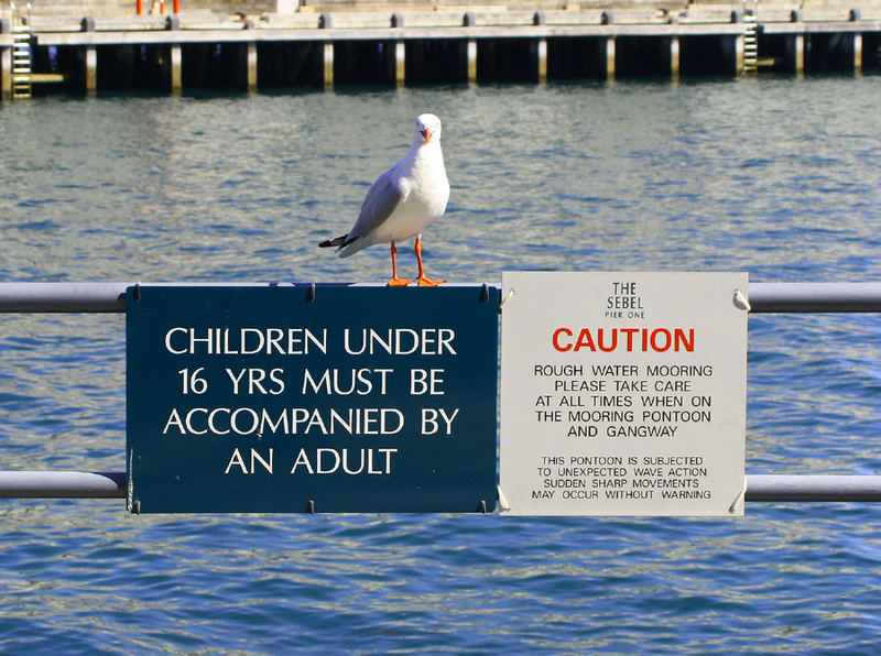 FSK 16 in Sydney Foto & Bild | australia & oceania, australia, sydney ...