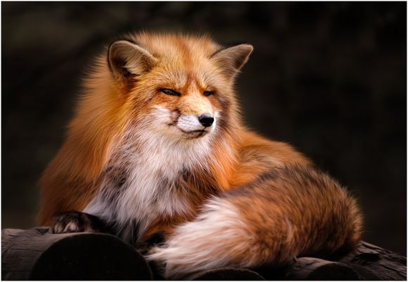 Stefan Ecker - Fotos & Bilder - Fotograf aus Ottweiler, Deutschland ...