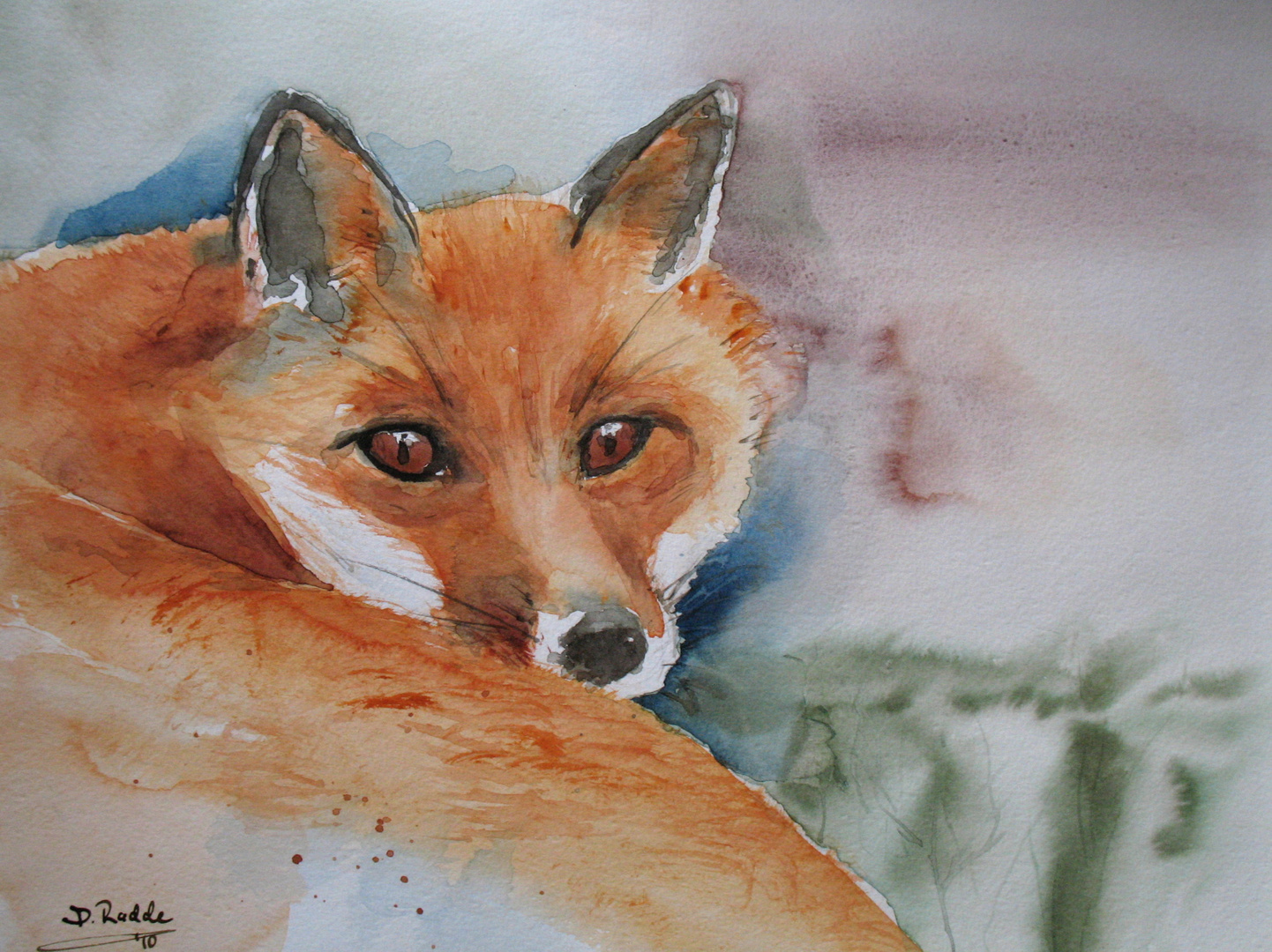 Fuchs Foto & Bild | kunstfotografie & kultur, gemälde & skulpturen ...