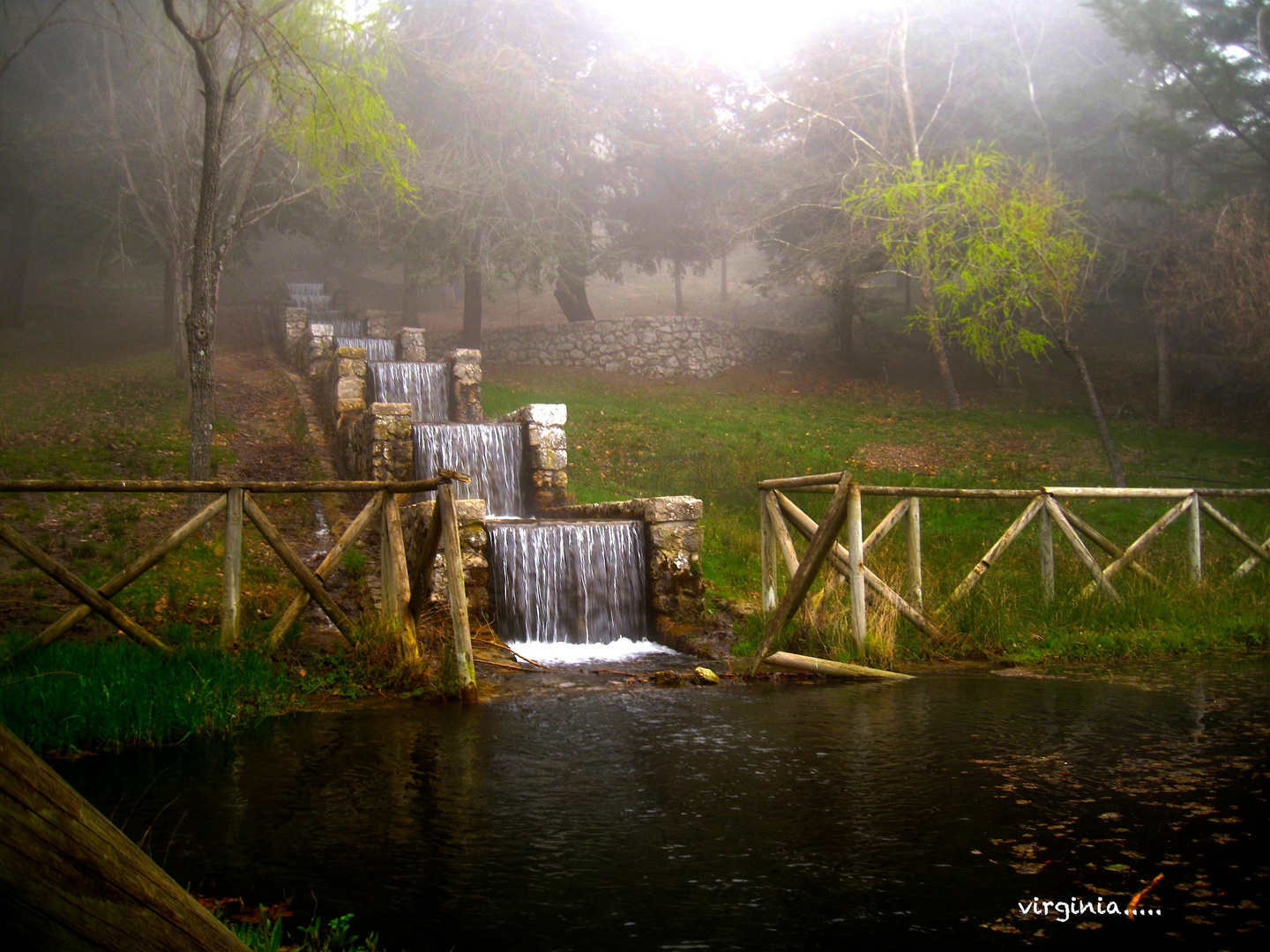 FUENMAYOR-TORRES, JAEN Imagen & Foto | paisajes, bosques, jaen ...