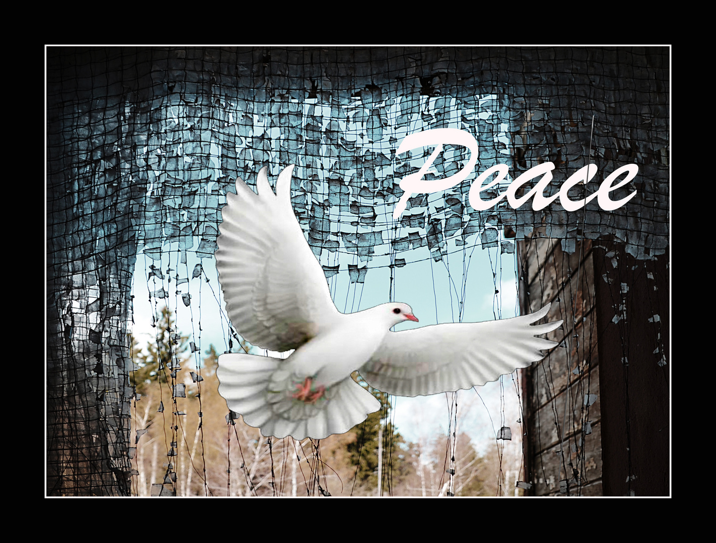 Für den Frieden Foto & Bild | spezial, digiart, emotionen Bilder auf ...