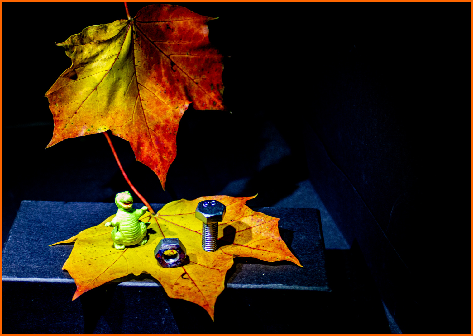 Für ein Foto stets bereit ... Foto & Bild | mittwoch, mittwochsmutter ...