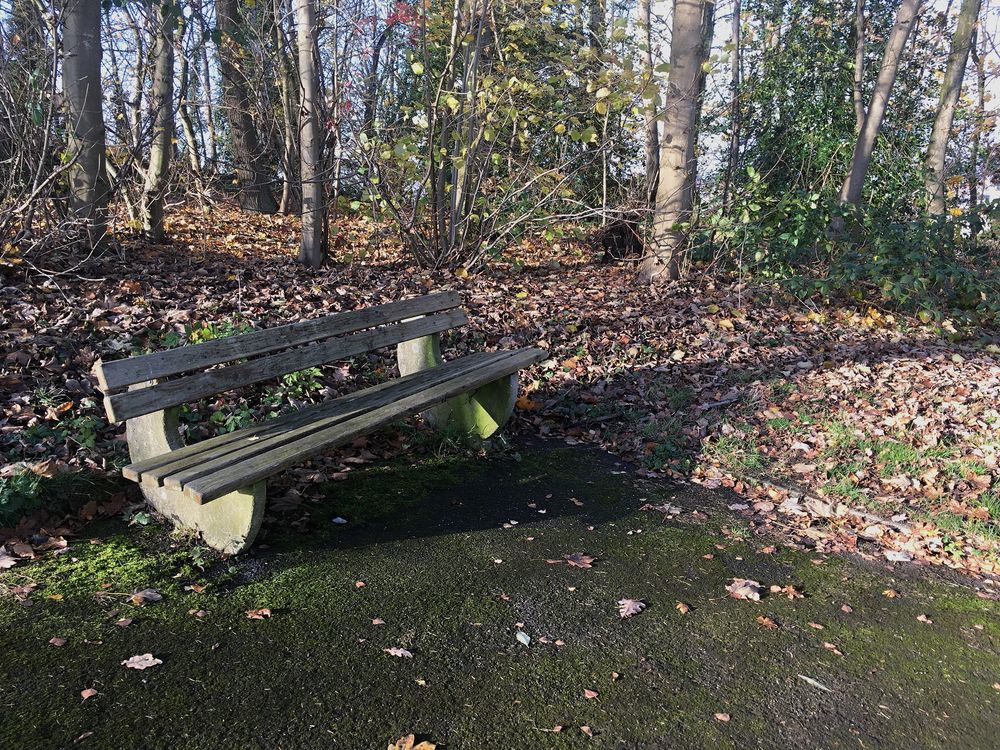 für eine Ruhepause Foto & Bild | landschaft, projekte, bänke in der ...