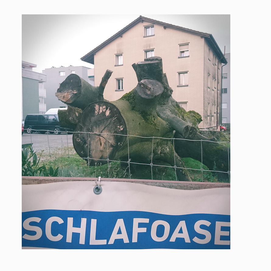 für kanadische Fakire.. Foto & Bild | spezial, baum, stillleben Bilder ...