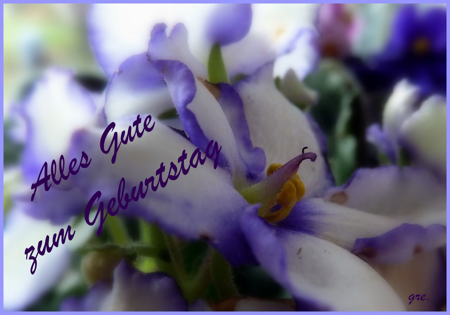 Für Monue Foto & Bild | gratulation und feiertage, geburtstag, karten ...