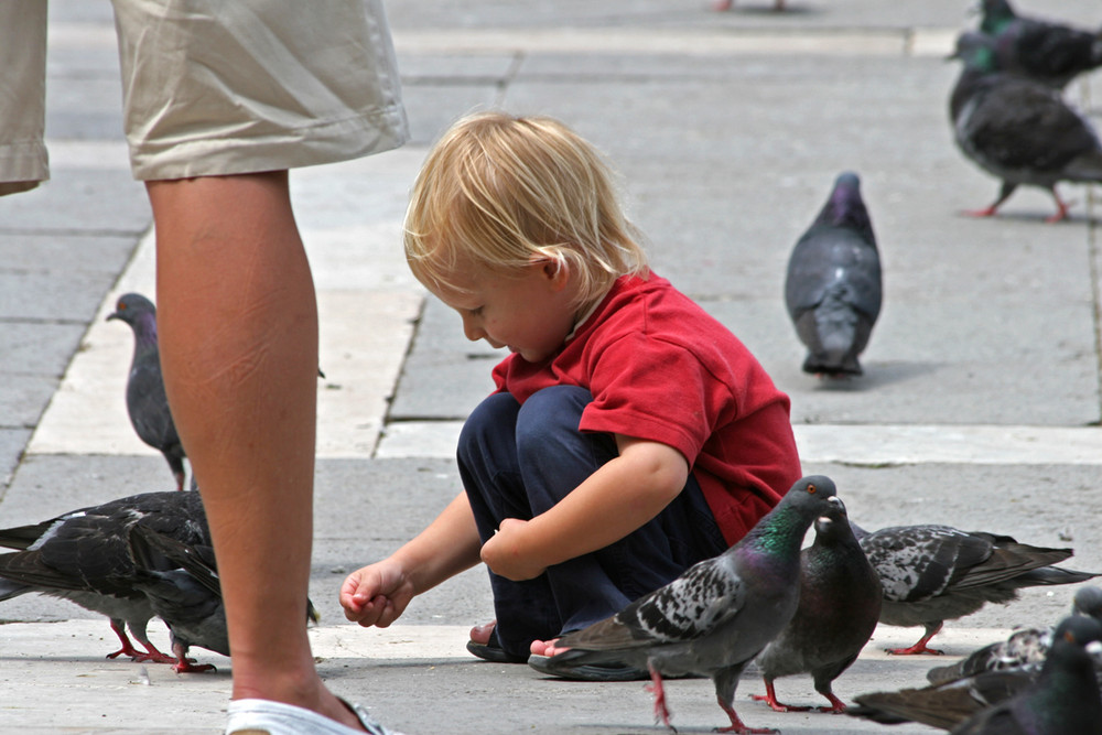Füttern erlaubt !!! Foto & Bild | streetfotografie mit menschen, street ...
