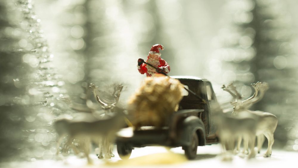 Fütterungszeit Foto & Bild | stillleben, kunstfotografie & kultur, emotionen Bilder auf ...