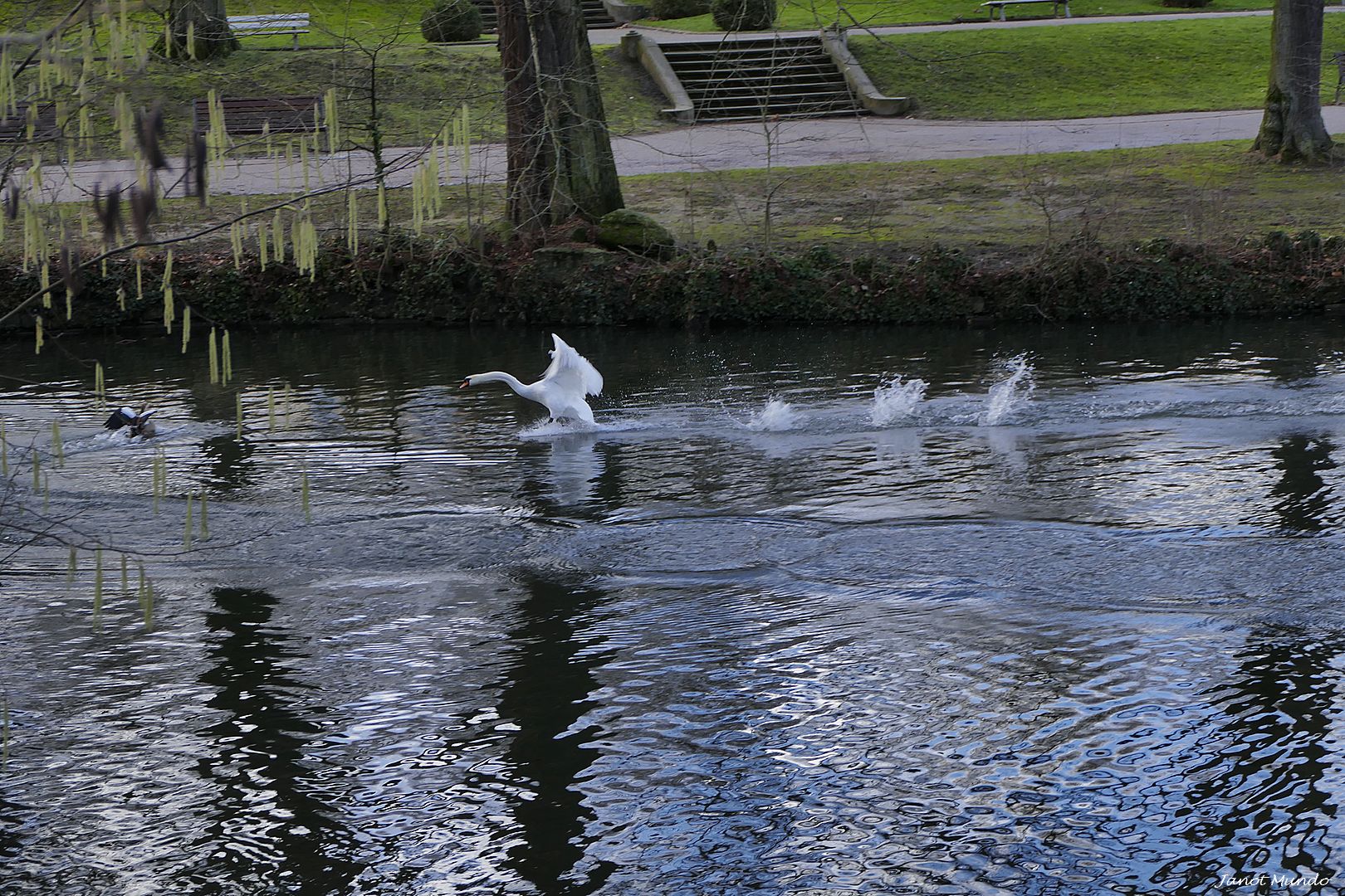 fuite en avant.................. photo et image | nature Images ...