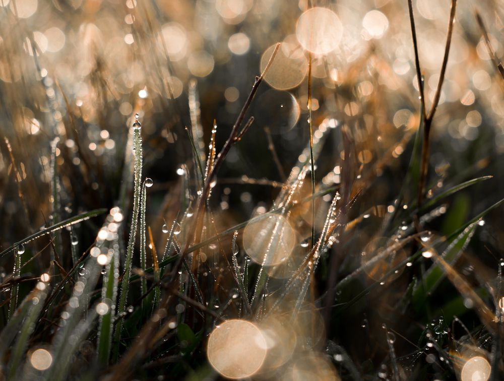 Funkeln und glitzern ... Foto & Bild | naturereignisse, natur-kreativ ...