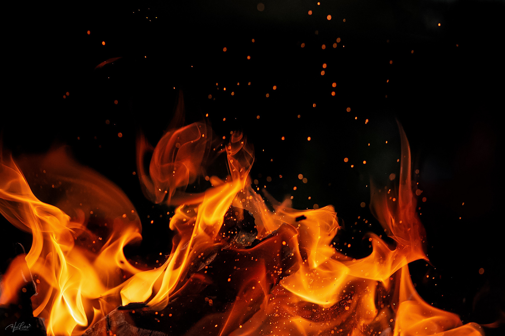 Funkenflug Foto & Bild | makro, natur, fire Bilder auf fotocommunity