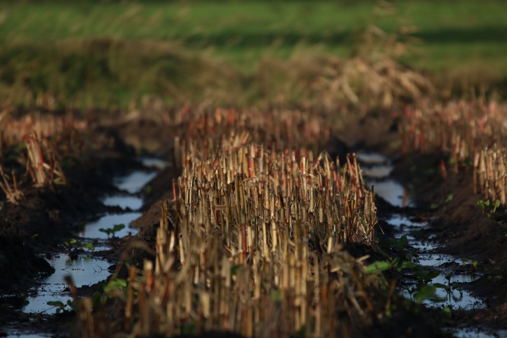 Furchen Foto & Bild | landschaft, Äcker, felder & wiesen, natur Bilder ...