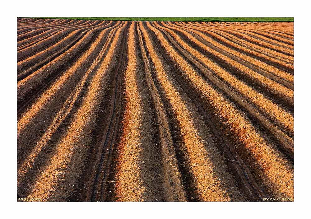 Furchen Foto & Bild | landschaft, Äcker, felder & wiesen, natur Bilder ...