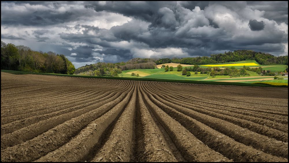 Furchen............. Foto & Bild | landschaft, kulturlandschaften ...