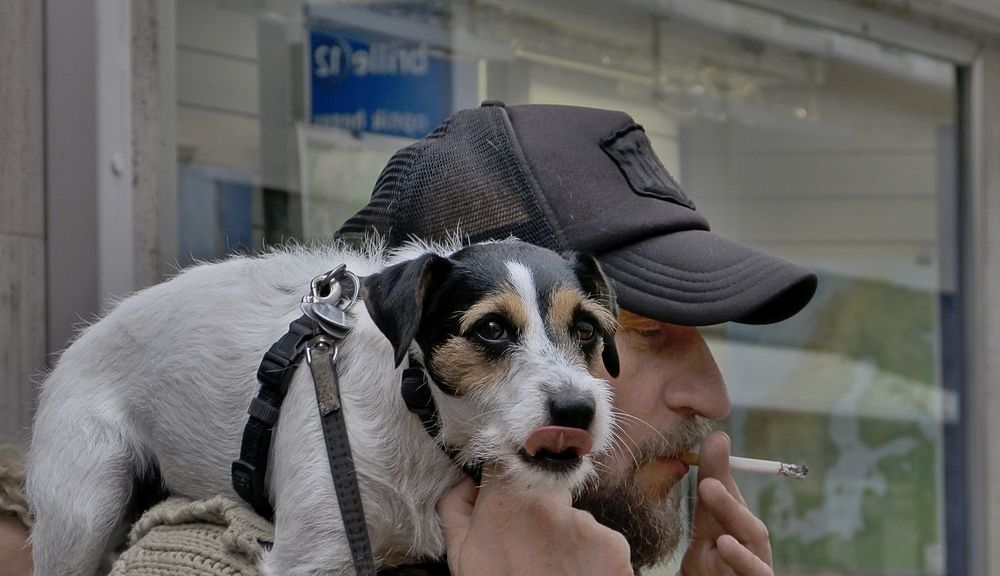 furchtbar diese Raucher...... Foto & Bild | tiere, haustiere, hunde ...