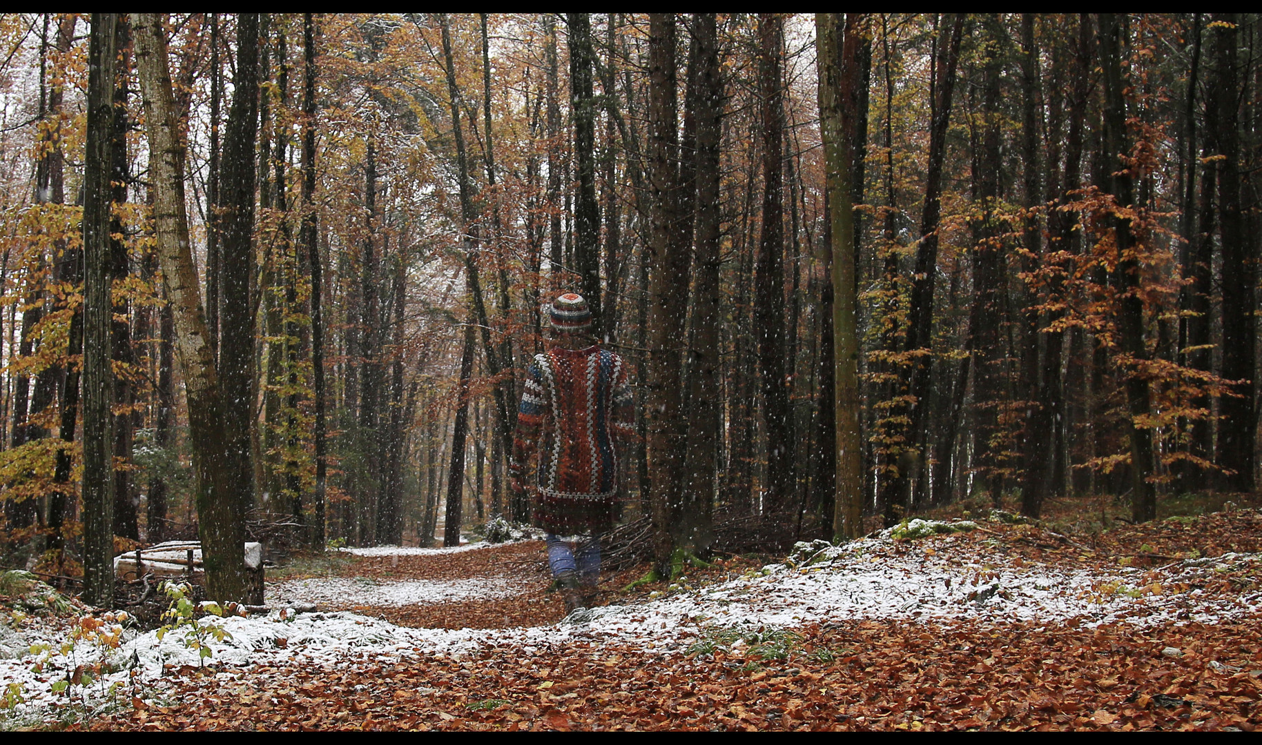 Further Along Foto Bild Art Spezial Wald Bilder Auf Fotocommunity further-along-foto-bild-art-spezial-wald-bilder-auf-fotocommunity