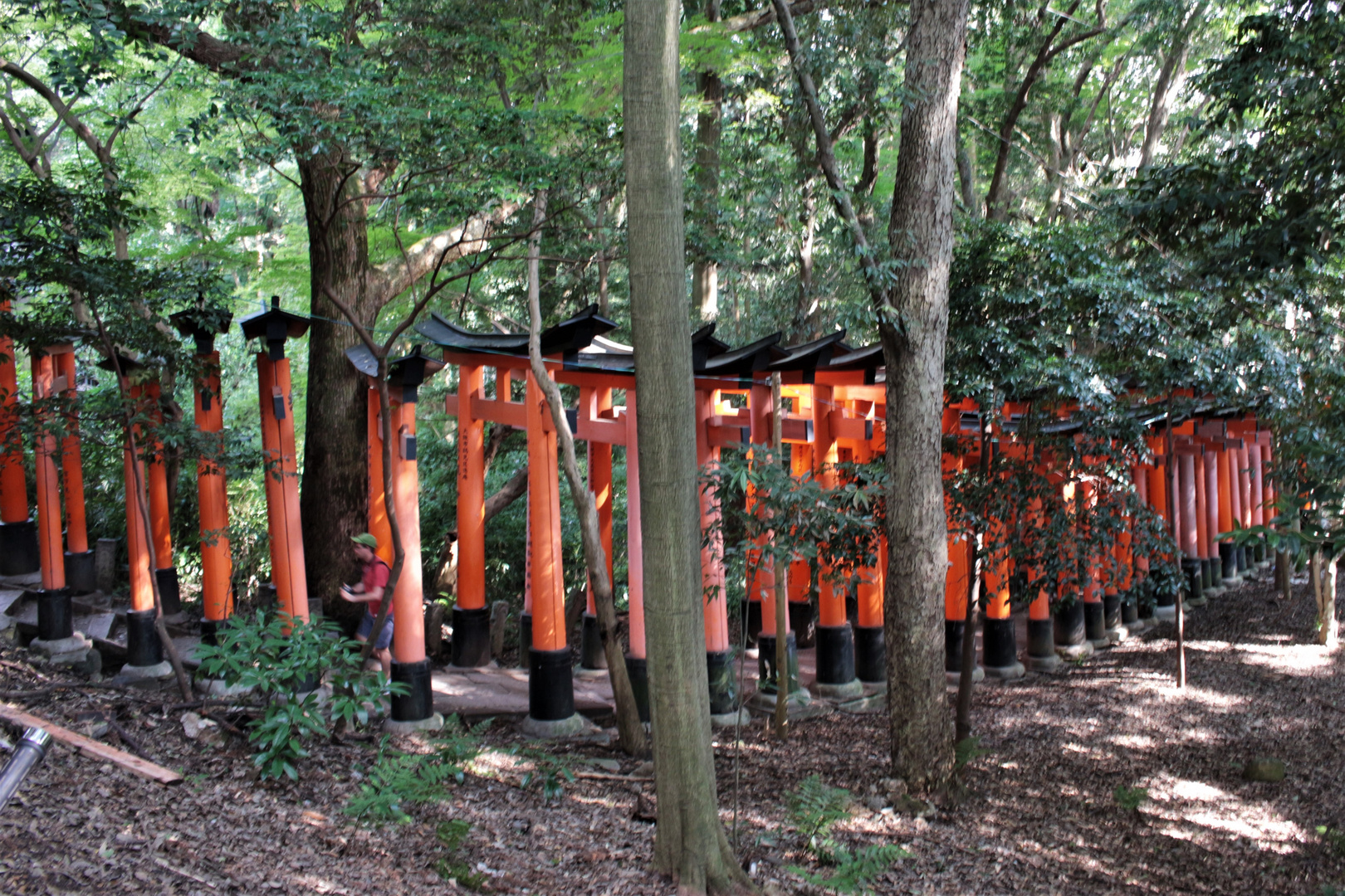 Fushimi Inari-Taisha (Oinari-sanin) in Kyoto Foto & Bild | asia, japan ...