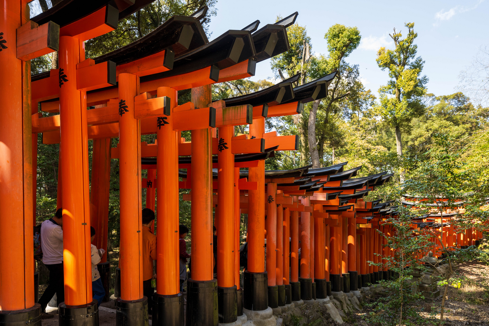 Fushimi Inari Taisha Schrein in Kyoto Foto & Bild | world, japan, asia ...