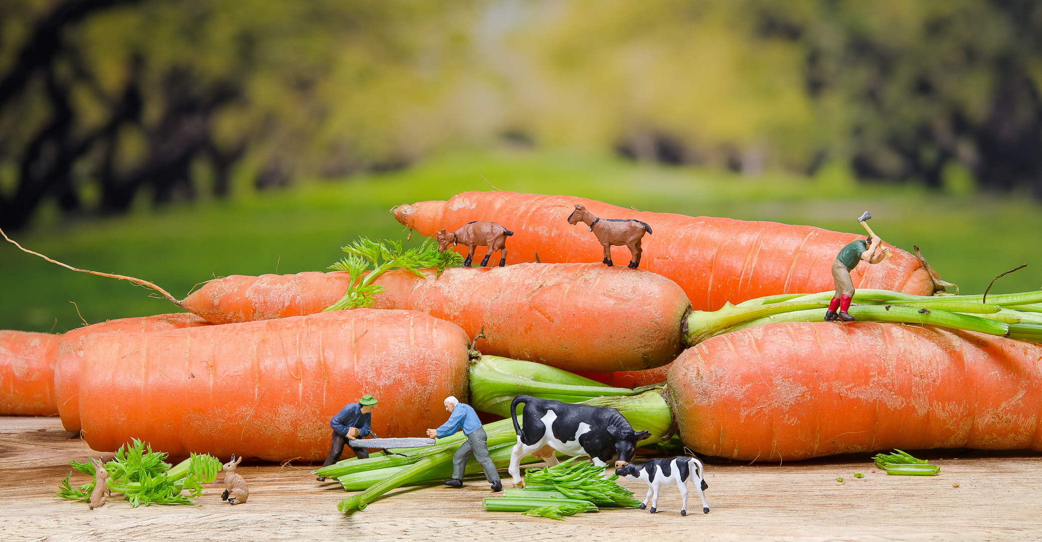 Futter für die Tiere... Foto & Bild | stillleben, food-fotografie, food ...
