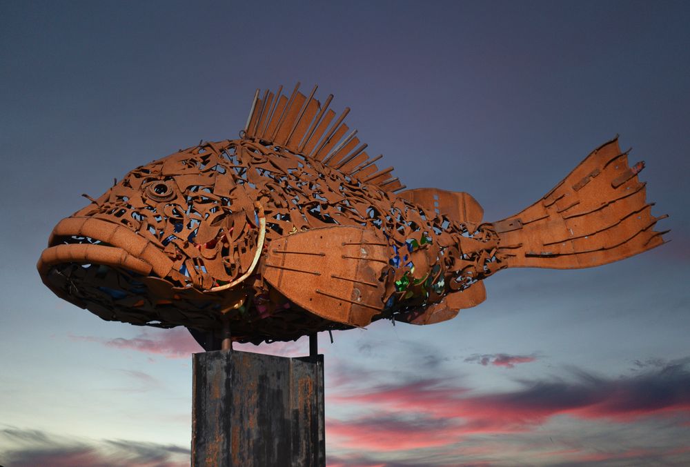 Future fish Foto & Bild | wasser, natur, landschaft Bilder auf ...