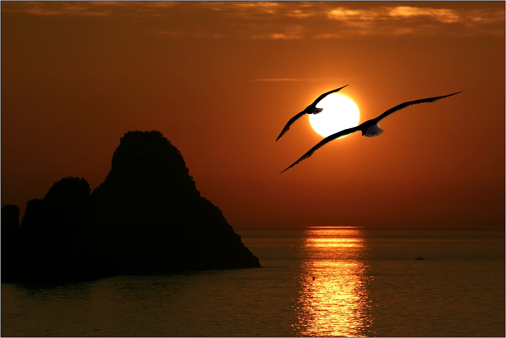 Gabbiani Foto % Immagini| paesaggi, mare, natura Foto su fotocommunity