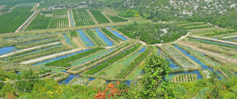Gärten im Neretva Delta Foto & Bild | natur, world Bilder auf fotocommunity