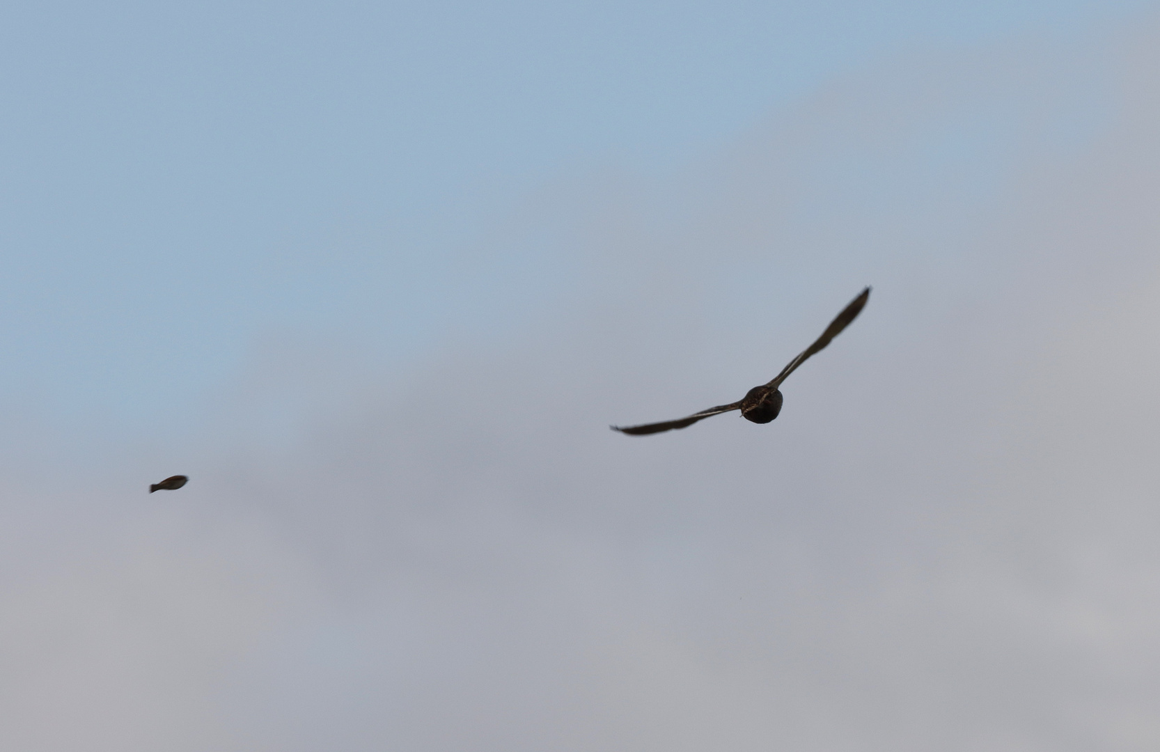 Galtabäck N R photo & image | sweden, fotos, nature images at photo ...