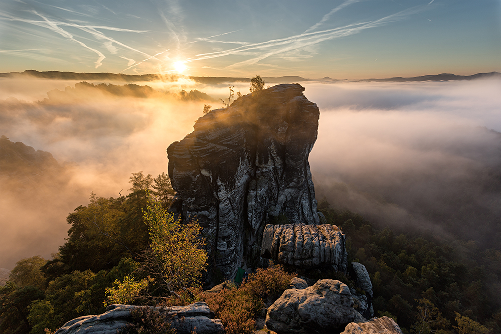 Gans, neblig Foto & Bild | deutschland, europe, sachsen Bilder auf ...