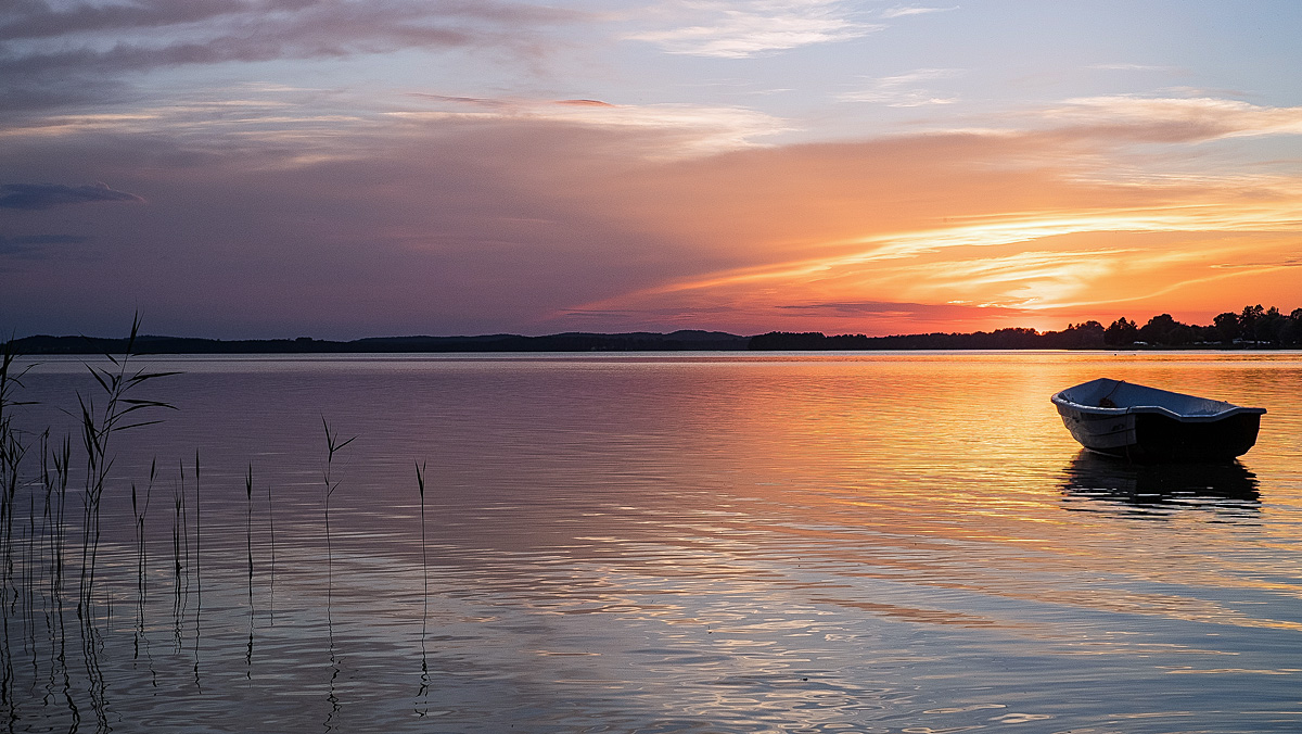 Ganz allein... Foto & Bild | motive Bilder auf fotocommunity