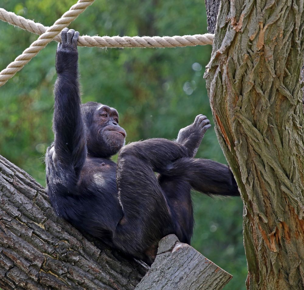 Ganz entspannt Foto & Bild | canon, world, natur Bilder auf fotocommunity