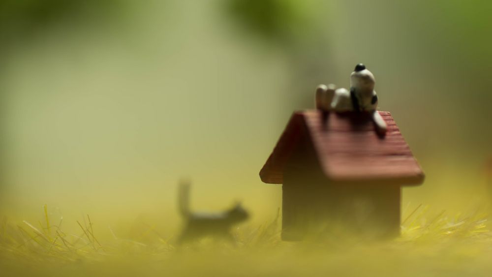 Ganz entspannt Foto & Bild | stillleben, kunstfotografie & kultur ...