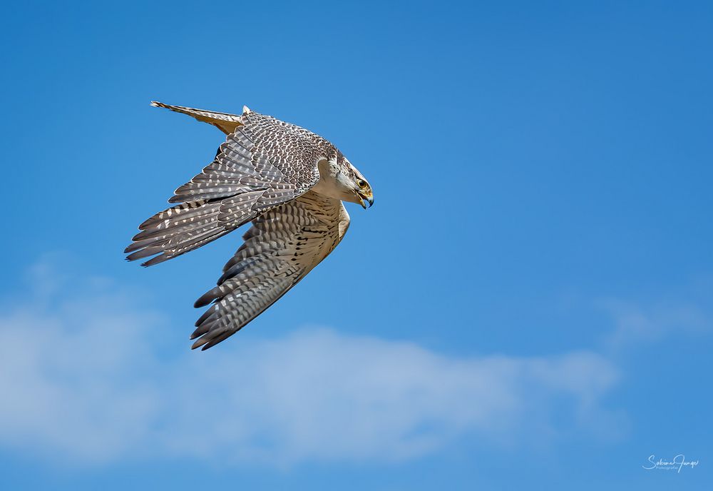 Ganz hoch oben Foto & Bild | nikon, spezial, natur Bilder auf fotocommunity