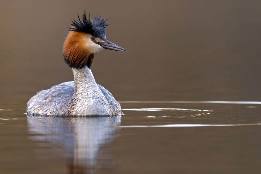 Ganz nah Foto & Bild | fotos, canon, frühling Bilder auf fotocommunity