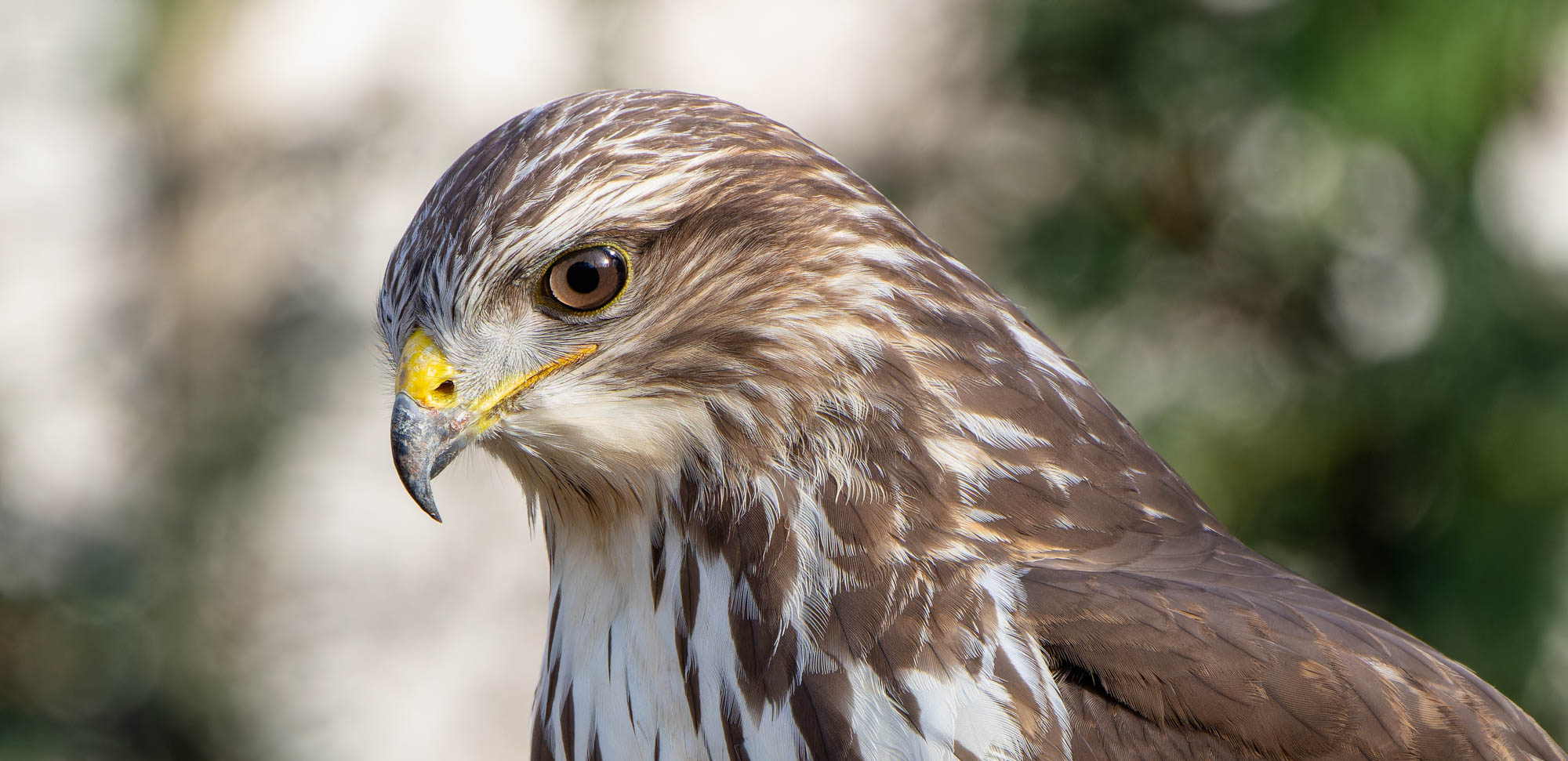 Ganz nah... Foto & Bild | natur, tiere, wildlife Bilder auf fotocommunity