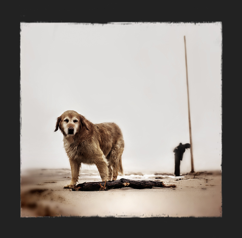 Ganz ruhig bleiben... Foto & Bild | emotionen, ratlosigkeit, sylter ...